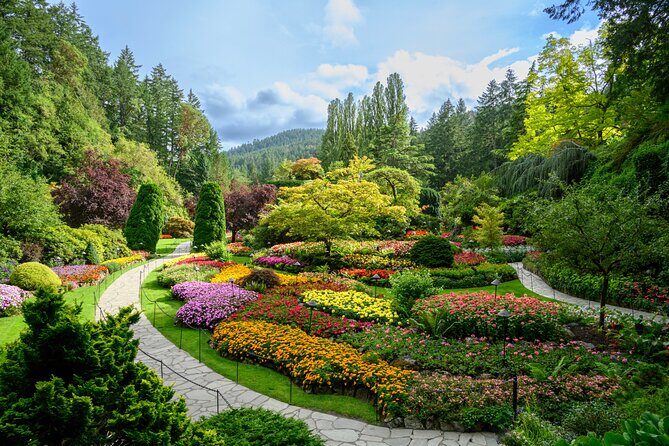 Victoria and Butchart Gardens, an Elevated Experience - The Tour Structure and Transportation