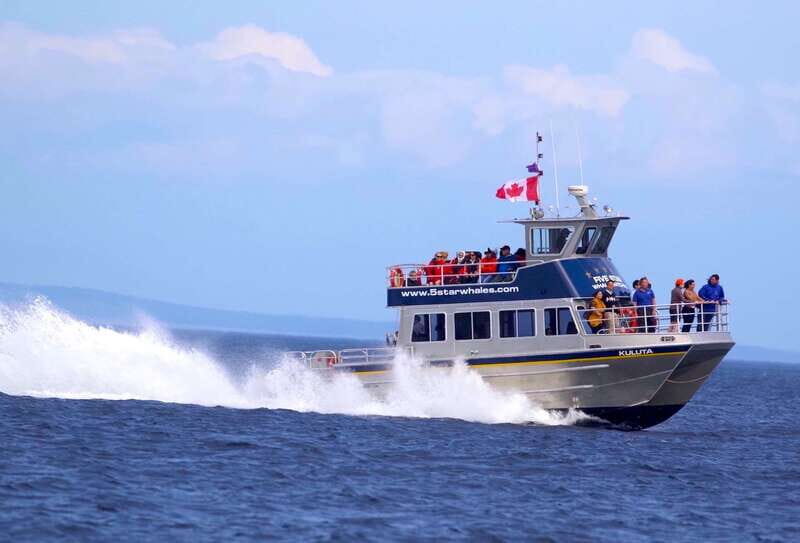 Victoria BC: 3 Hour Expedition Catamaran Whale Watching Tour - Final Thoughts