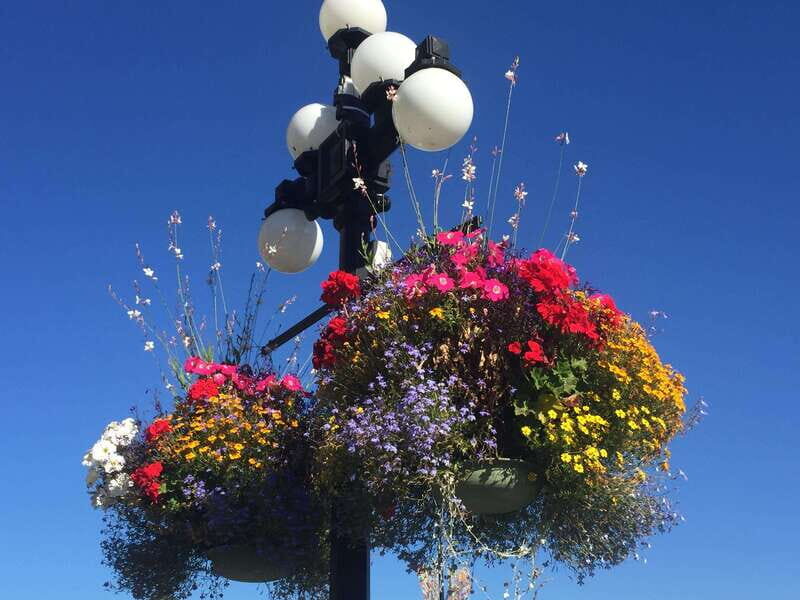 Victoria, BC: City Tour and Butchart Gardens Combo Tour - Authentic Experiences and Traveler Feedback