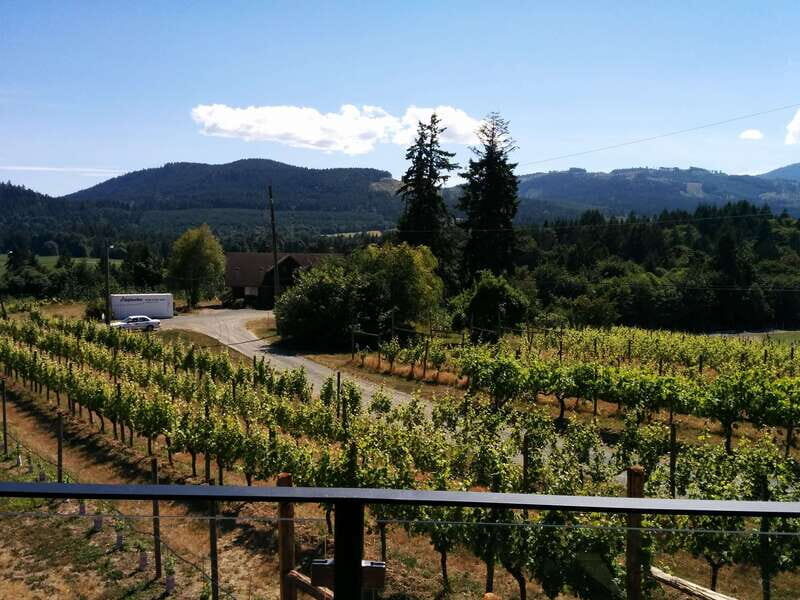 Victoria, BC: Food & Wine Tour to the Cowichan Valley - Suitable for a Range of Travelers