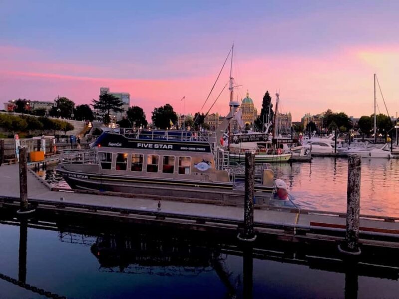 Victoria, BC: Sunset Whale Watching Tour - FAQ
