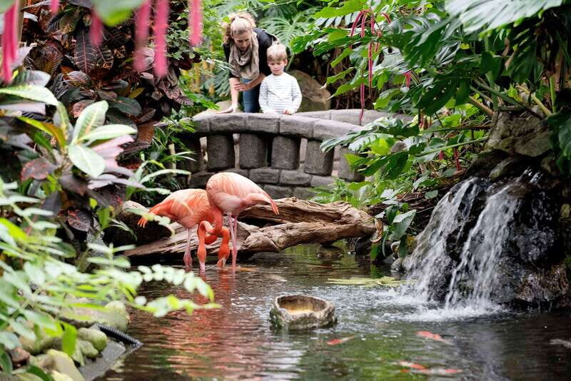 Victoria: Butterfly Gardens Admission Ticket - Visitor Feedback: What Real Travelers Say
