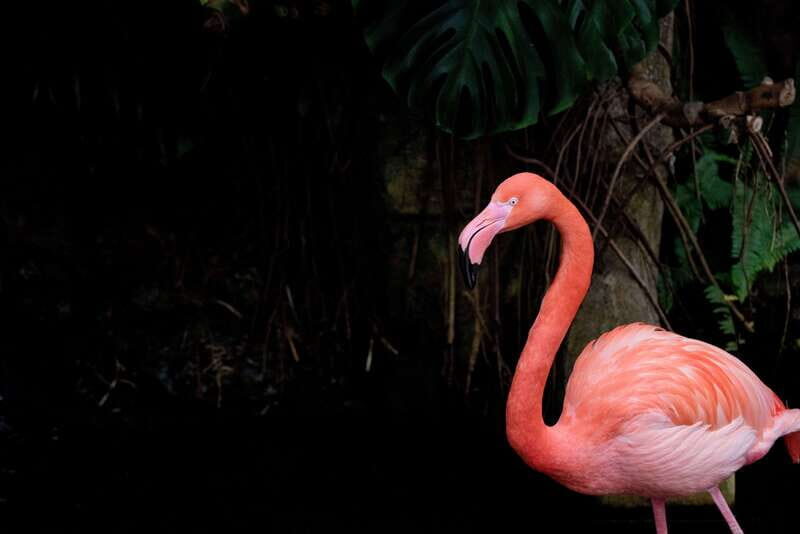 Victoria: Butterfly Gardens Admission Ticket - Who Should Visit?