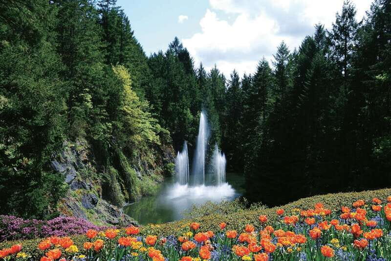 Victoria: City Highlights and Butchart Gardens Tour - An In-Depth Look at the Tour Experience