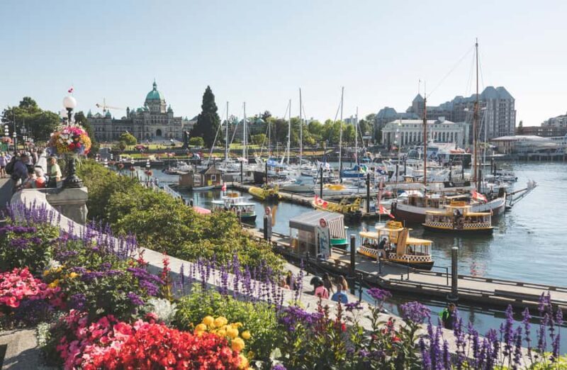Victoria: City Highlights Walking Tour | 3-Hour - What Travelers Say