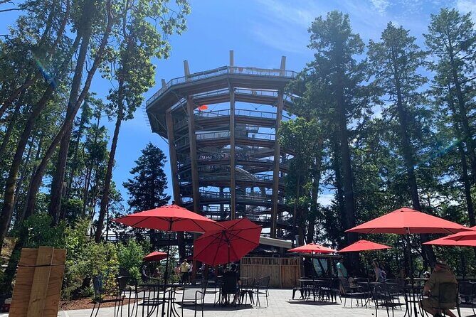 Victoria Day trip with Butchart Garden and Malahat Skywalk - An In-Depth Look at the Victoria Day Trip Experience