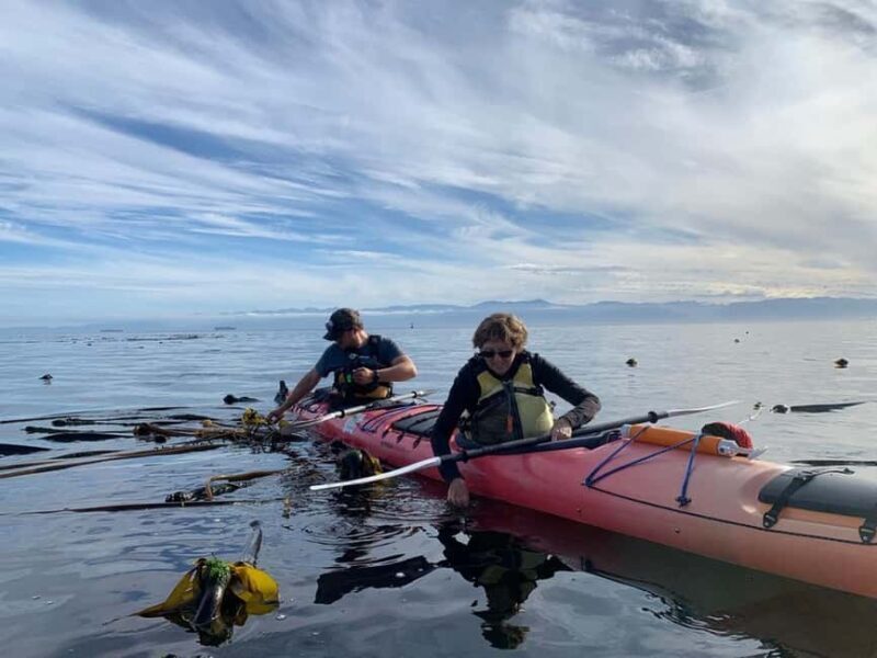 Victoria: Guided Kayak Tour Adventure - The Experience: Paddle Through Victoria’s Coastal Charm