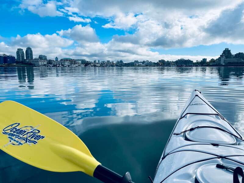 Victoria: Kayak Harbour Tour - Discover Victoria from a Kayak: A Genuine Getaway