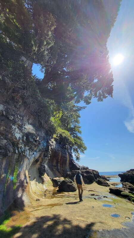Victoria: Old Growth Rainforest Canyon Waterfall and Beaches - Who Will Enjoy This Tour?