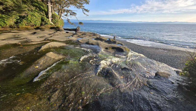 Victoria: Old Growth Rainforest Canyon Waterfall and Beaches - Final Thoughts: Is It Worth It?
