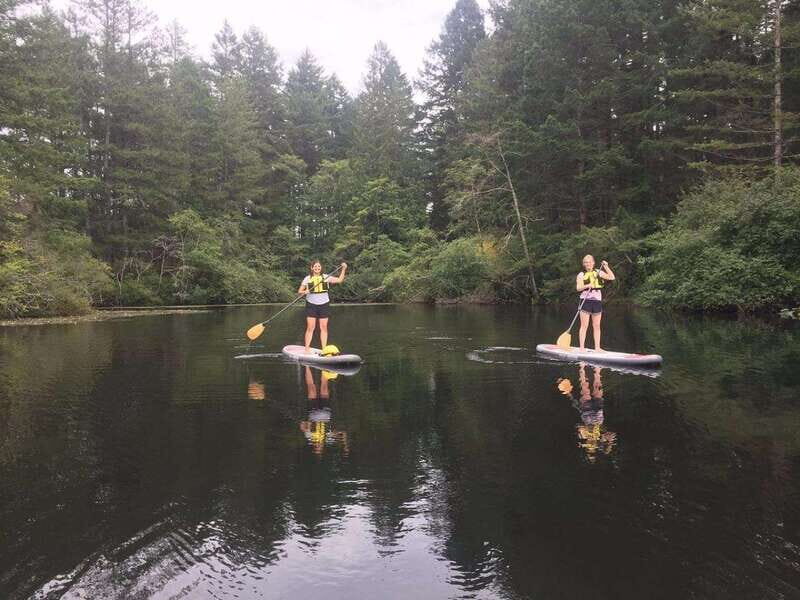 Victoria: Paddle Board Rental with Full Equipment - An Honest Look at the Experience
