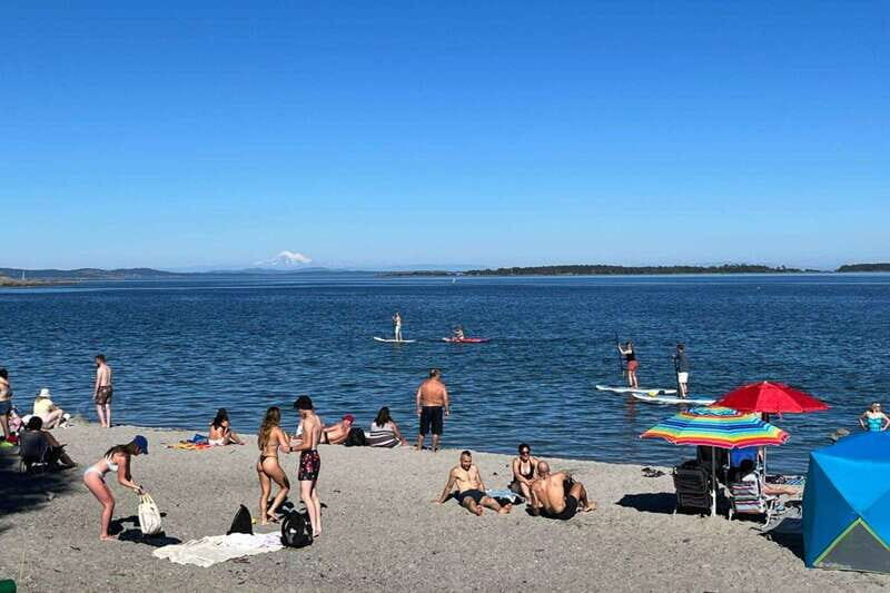 Victoria: Paddle Board Tour at Willows Beach - An Engaging Look at the Paddle Board Tour Experience