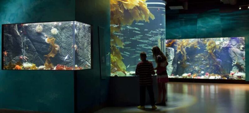 Victoria; Peninsula Butchart Garden, Aquarium and Rainforest - FAQs