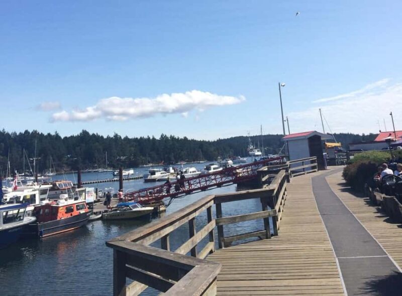 Victoria: Private Captain's Tour Southern Gulf Islands - FAQs