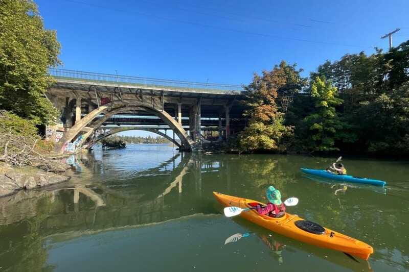 Victoria: Single Sea Kayak Rental - The Price: Value for Money?
