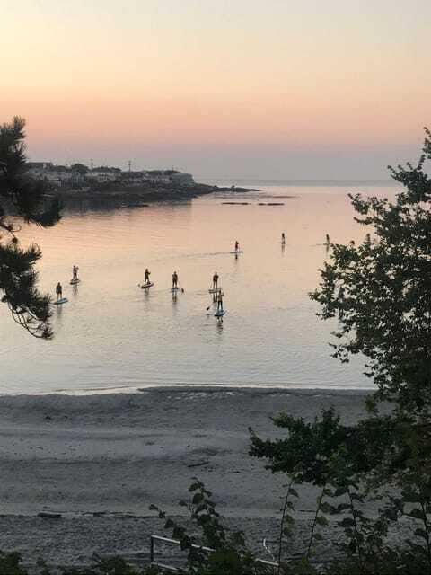 Victoria: Sunrise or Sunset SUP Tour - Why This Tour Represents Good Value
