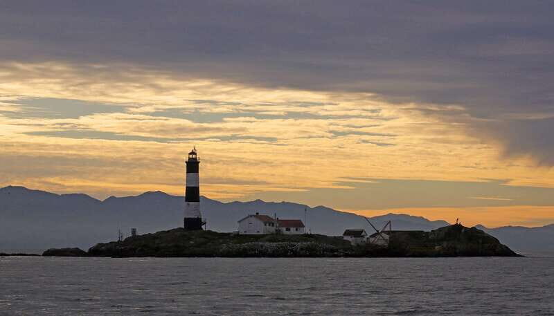 Victoria: Sunset Whale Watching Tour on Semi-Covered Boat - An Authentic West Coast Experience: What to Expect