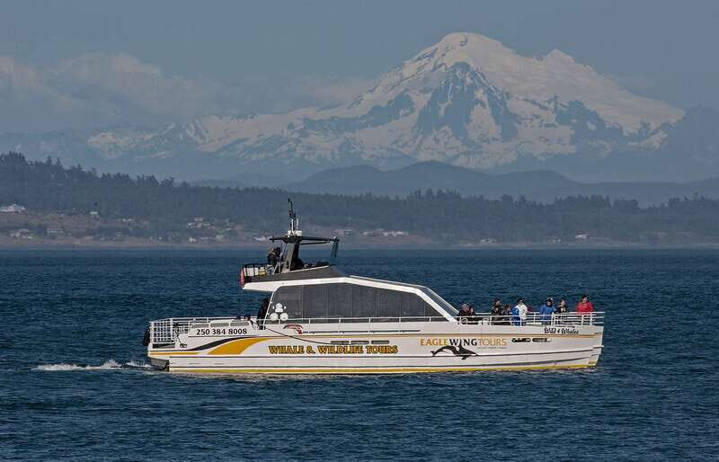 Victoria: Sunset Whale Watching Tour on Semi-Covered Boat - Guides and Wildlife Expertise