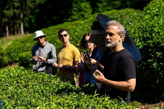 Victoria to Nanaimo Waterfall Wildlife Food Stops Along The Way - Summary: Who Will Love This Tour?