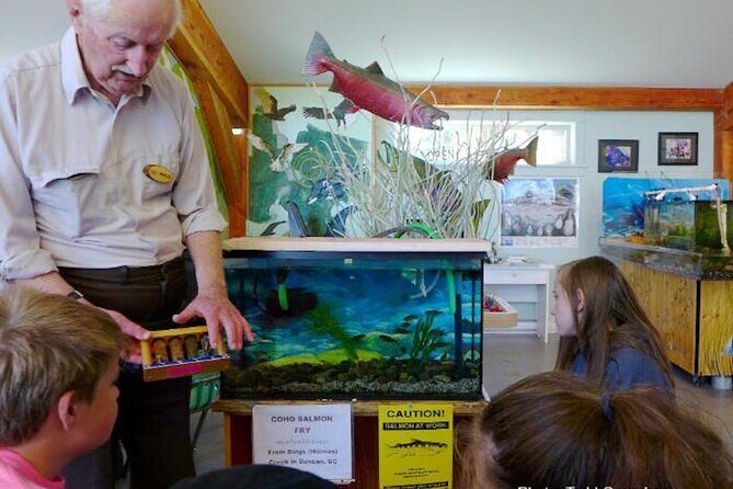 Victoria to Nanaimo Waterfall Wildlife Food Stops Along The Way - FAQ