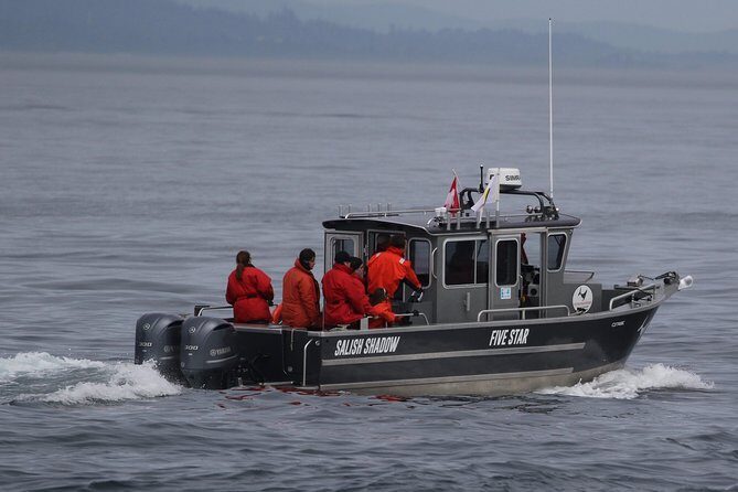 Victoria Ultimate Marine Whale & Wildlife Tour - Who is This Tour Best For?
