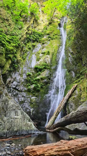 Victoria Waterfall, Skywalk, Beach Picnic, Castle and Whales - An In-Depth Look at This Full-Day Tour