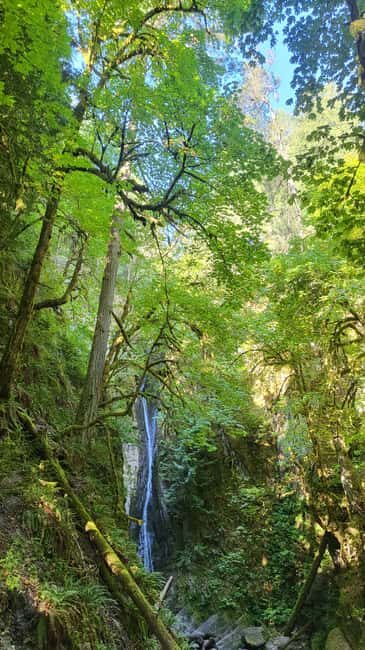 Victoria Waterfall, Skywalk, Beach Picnic, Castle and Whales - Authentic Insights from Traveler Reviews