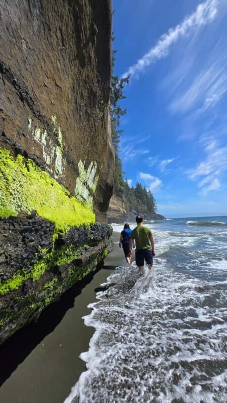 Victoria West Coast Wildlife, Old Growth and Waterfalls - Key Points