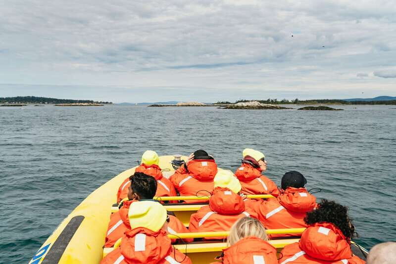 Victoria: Whale Watching Adventure in a Zodiac Boat - Pricing and Value