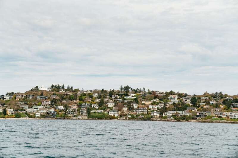 Victoria: Whale Watching Adventure in a Zodiac Boat - The Sum Up