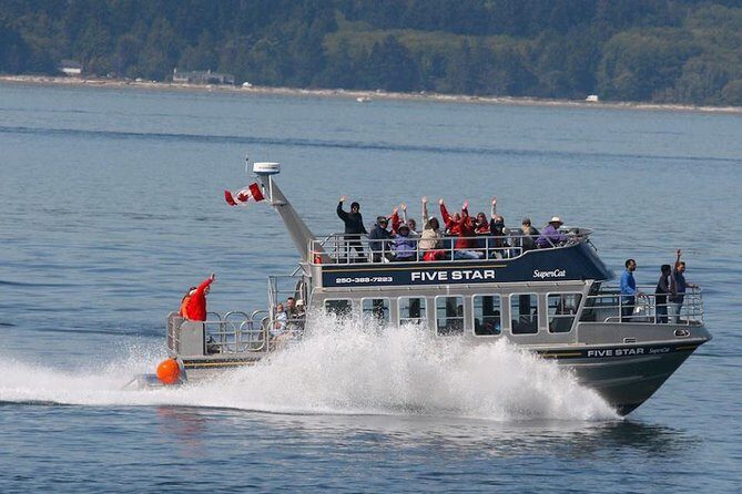 Victoria Whale Watching Cruise with Expert Naturalists - Authentic Insights from Travelers