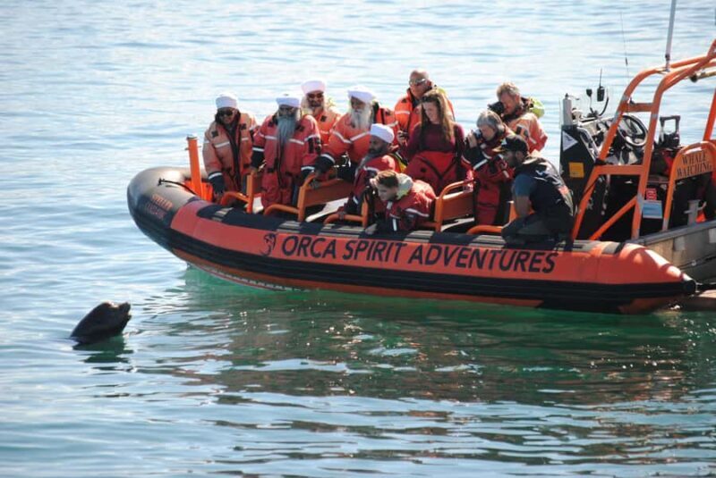 Victoria: Whale Watching Marine Wildlife Excursion Zodiac - A Closer Look at the Experience