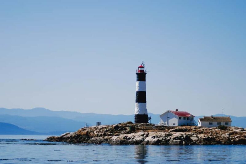 Victoria: Winter Wildlife Tour with Hot Drinks - The Sum Up