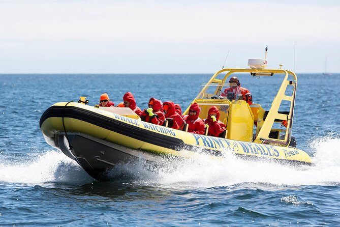 Victoria Zodiac Whale Watching Adventure - Tour Logistics and Practical Tips