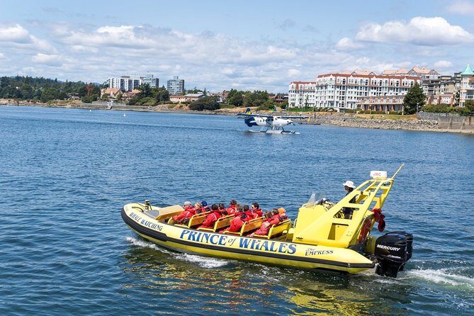 Victoria Zodiac Whale Watching Adventure - The Sum Up