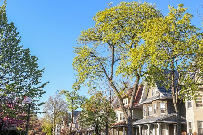 Victorian Flatbush , Brooklyn Private Tour - In-Depth Look at the Victorian Flatbush Tour