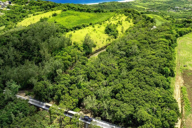 Victorian Steam (Long) Railway Journey+Great House & Distillery - What Reviewers Say