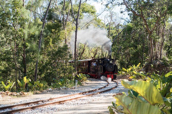 Victorian Steam Railway to Cherry Tree Hill + Great House Tour - Key Points