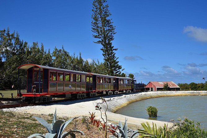 Victorian Steam Railway to Cherry Tree Hill + Great House Tour - Who Is This Tour Best For?