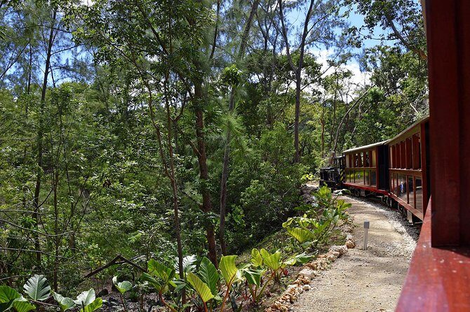 Victorian Steam Railway to Cherry Tree Hill + Great House Tour - FAQ