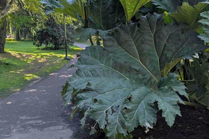 Victorias Historic Heights: An Audio Tour Through Beacon Hill - The Sum Up