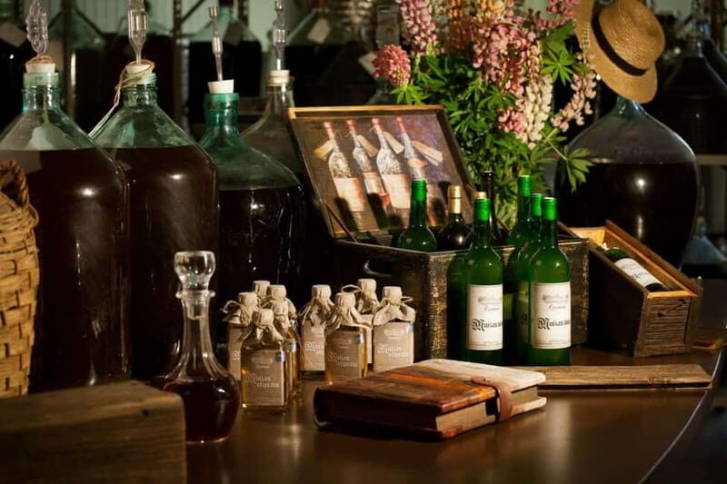 Vidzeme wine tasting tour - What to Expect and Practical Tips