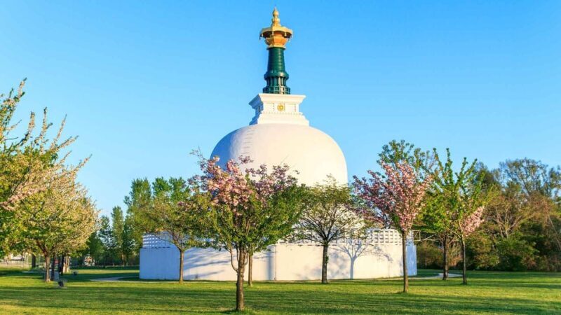 Vienna: 2-hour Danube Panorama Tour (Cruise Only) - The Experience: What’s It Like?