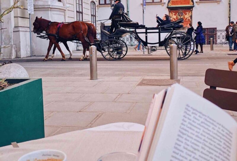 Vienna: 30-Minute Fiaker Ride in the Old Town - What to Expect from the Vienna Fiaker Ride