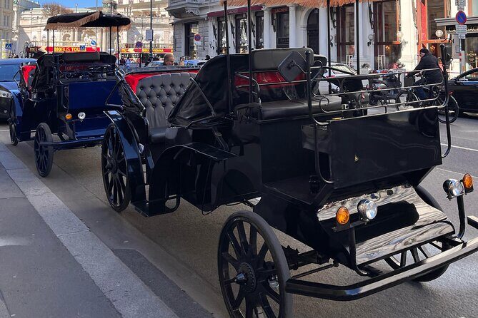 Vienna: 60 min. Royal E-Carriage Sightseeing Tour with Drinks - Is the Price Justified?