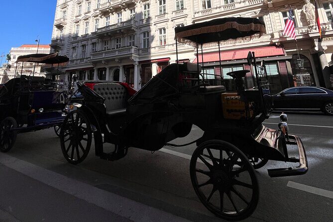Vienna: 60 min. Royal E-Carriage Sightseeing Tour with Drinks - Final Thoughts