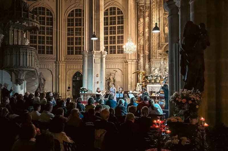 Vienna: Advent, Christmas and New Year's Concerts - Practical Details: Value and Logistics