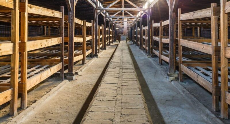 Vienna: Auschwitz Birkenau Full-Day Tour w/ Hotel Transfers - Final Thoughts: Who Will Appreciate This Tour?