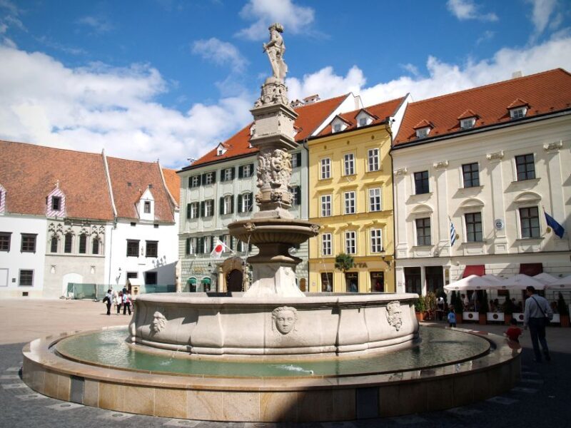 Vienna: Bratislava Day Trip with Private Guide and Transport - The Sum Up