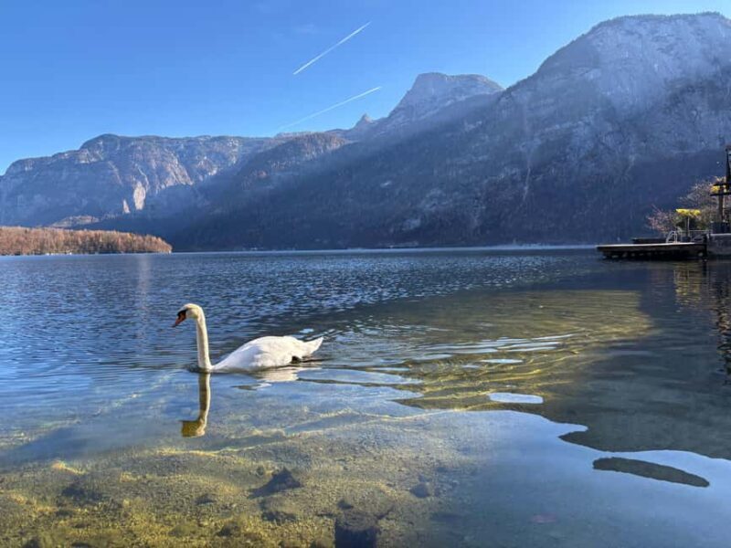 Vienna/Bratislava to Hallstatt & Salzburg: Full-Day Journey - FAQ